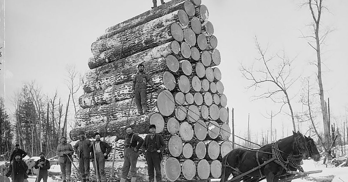 It Happened at Michigan — Saving Michigan’s Forests From ‘The Most ...