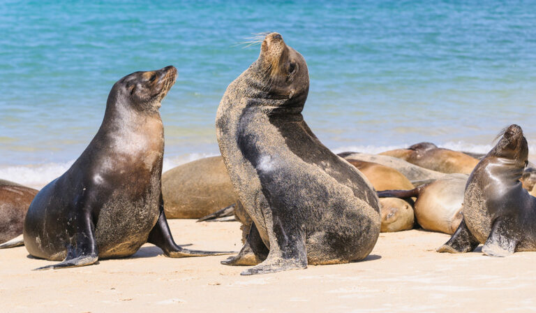 Find a Trip With Michigan Alumni Travel - Alumni Association of the ...