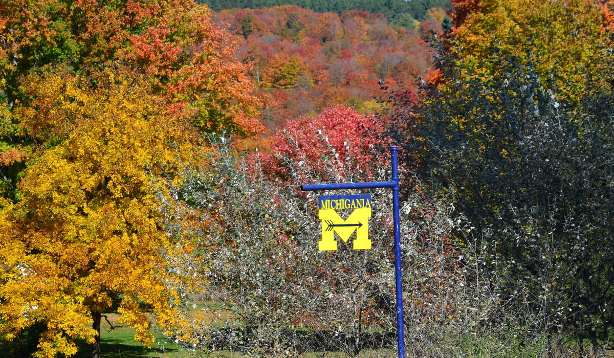 Fall Colors - Alumni Association of the University of Michigan