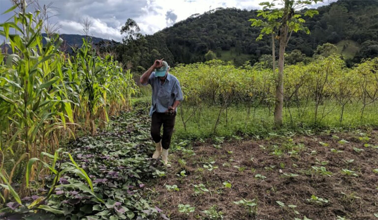 Both People and Environment Benefit From Diversified Farming - Alumni ...