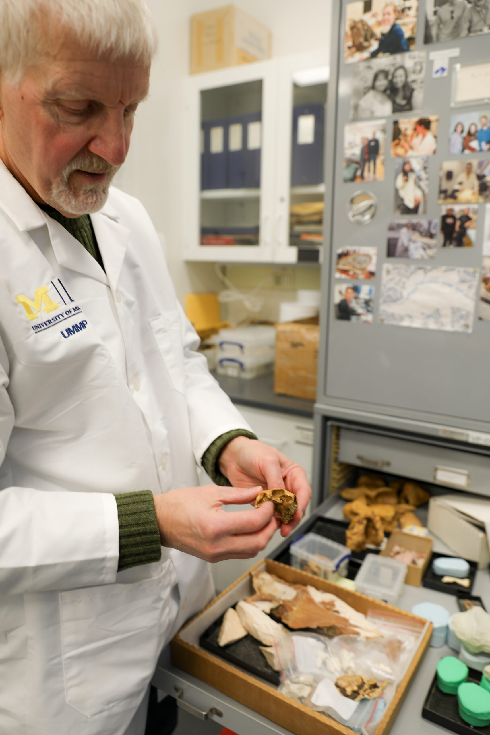 Spaces: A Peek Inside U-M's Fossil Prep Lab - Alumni Association of the ...