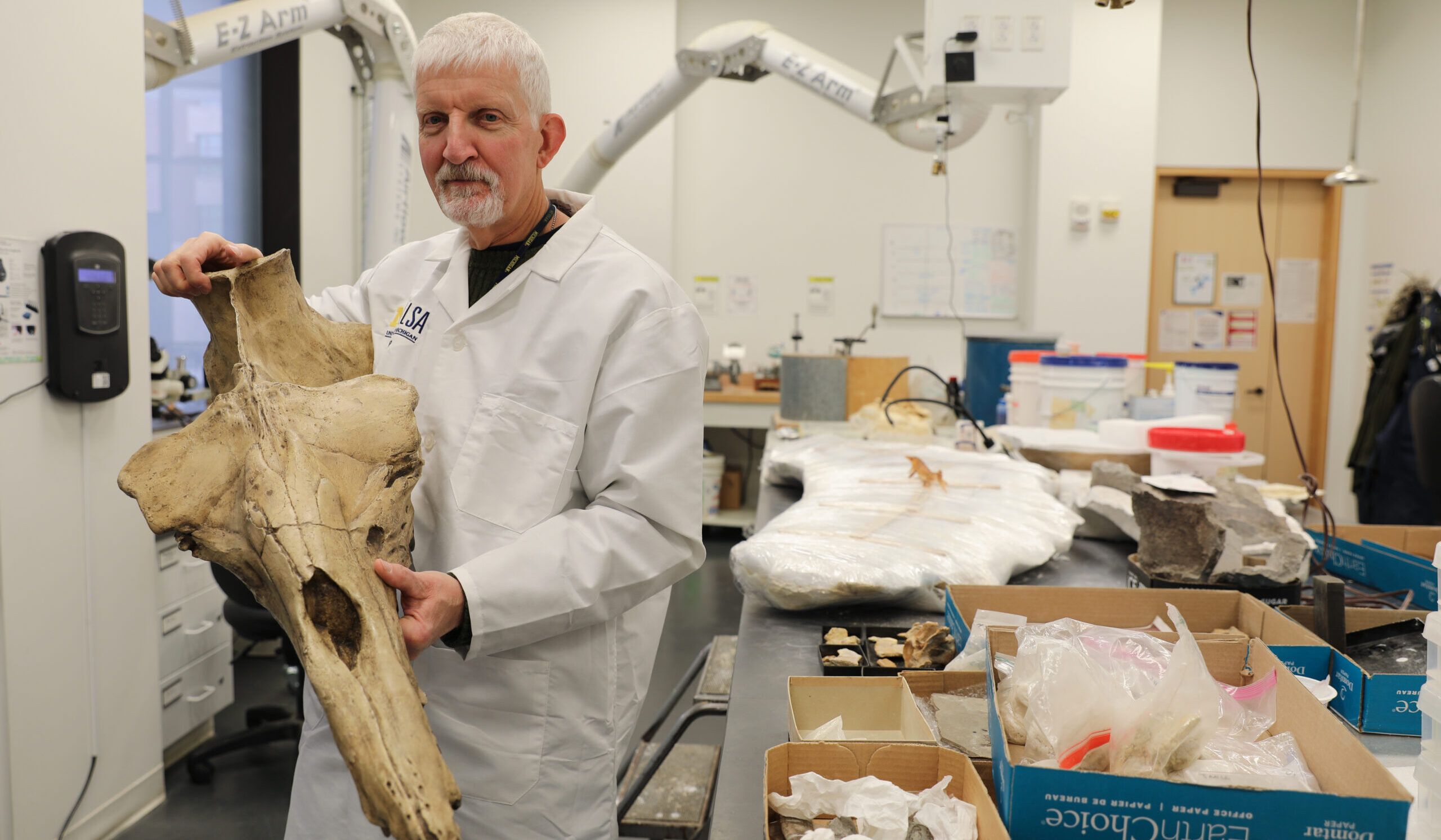Spaces: A Peek Inside U-M's Fossil Prep Lab - Alumni Association of the ...