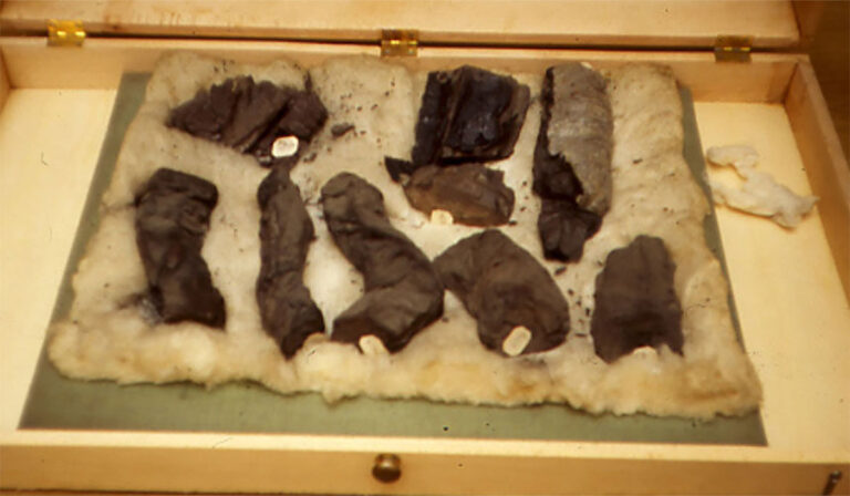 Futuristic Technology Reveals Secrets in Ancient Vesuvius Scrolls ...