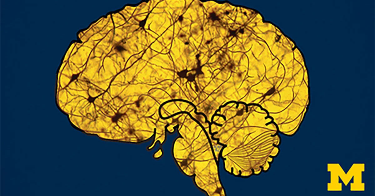 Sleep: Neurobiology, Medicine, and Society - Alumni Association of the ...