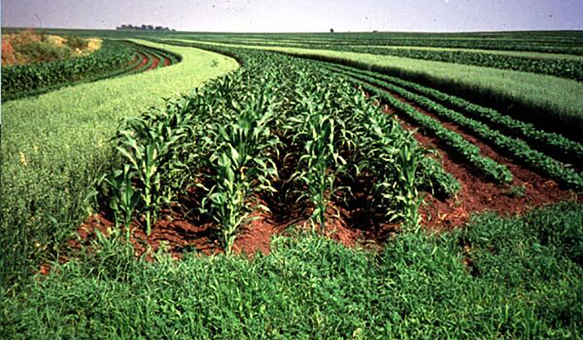‘We Know How to Do Better’: Agriculture, Water Quality and Cancer Rates ...